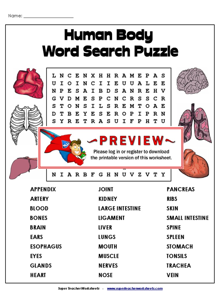 Word Search Human Body | PDF