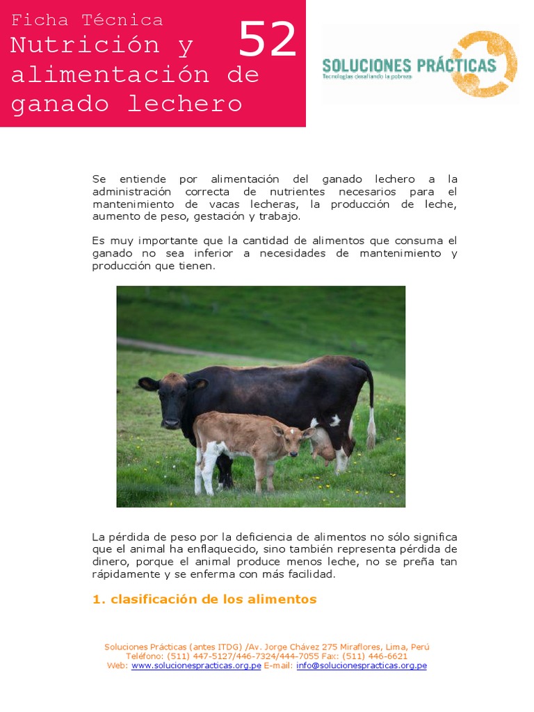 Ficha Técnica Nutrición y Alimentación de Ganado Lechero | PDF | Digestión | Sistema digestivo ...