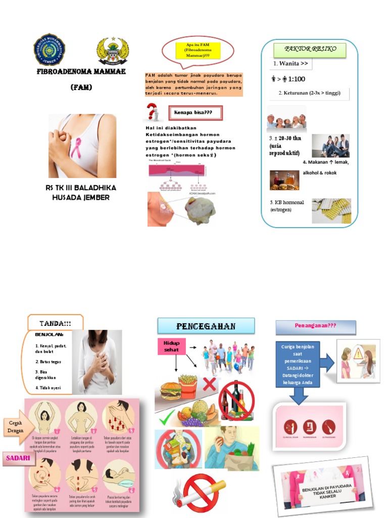 Leaflet FAM Fix | PDF