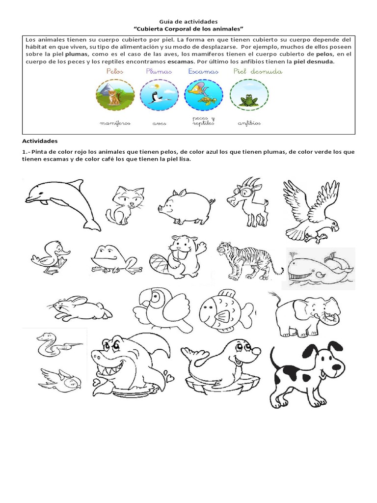 Cubierta Corporal de Animales | PDF