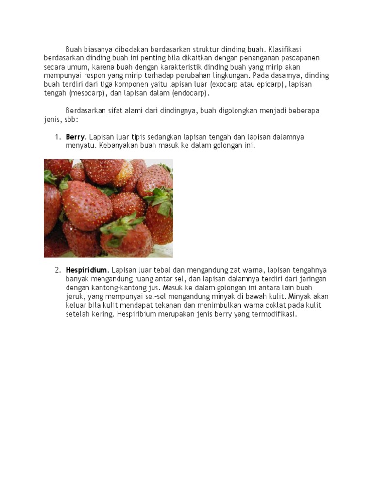 Karakteristik dan Klasifikasi Buah | PDF