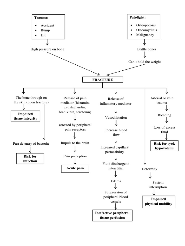 Pathway Fracture | PDF | Edema | Physiology