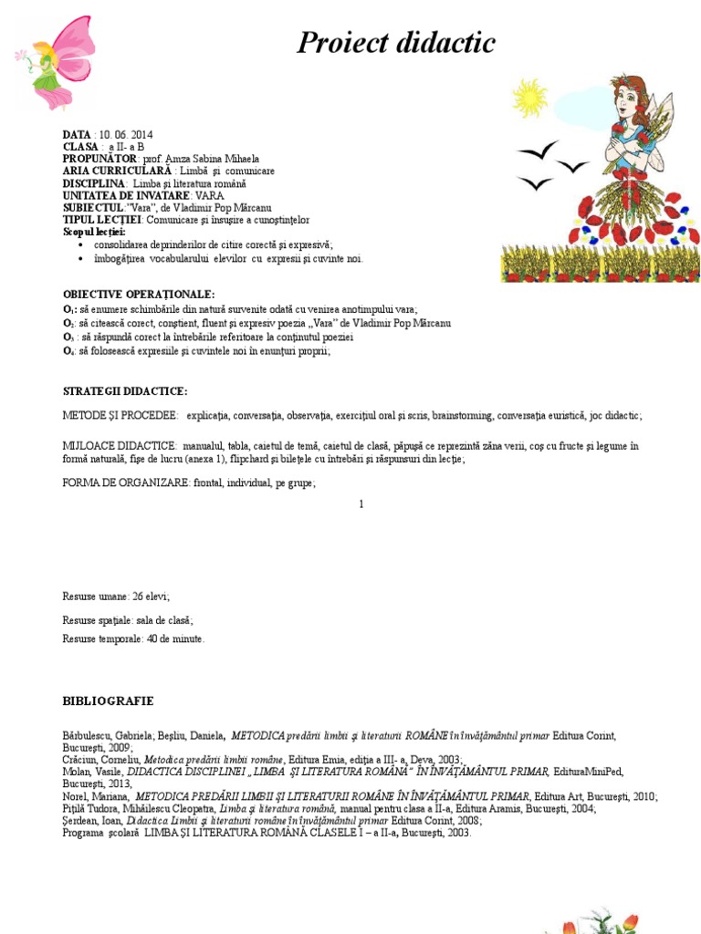 6 Proiect Final | PDF