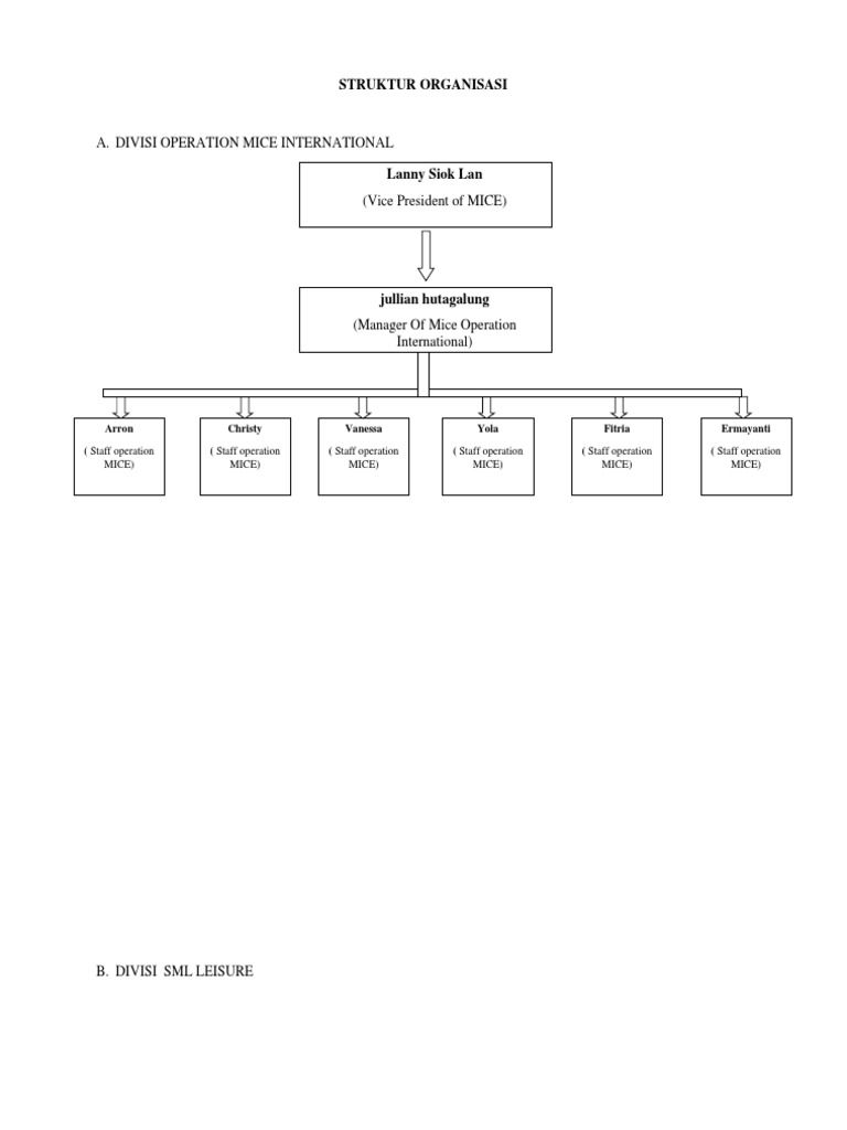 Struktur Organisasi Mice | PDF