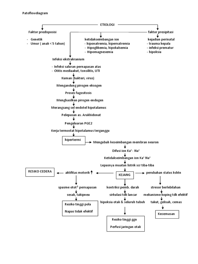 Pathway Kejang Demam | PDF