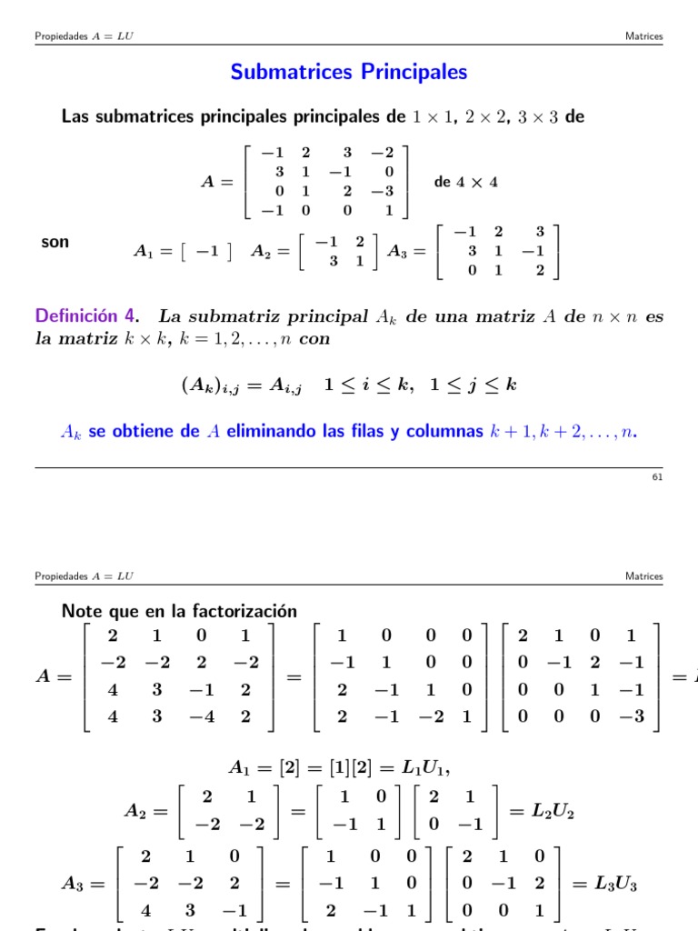 Submatrices y Factorización de Matrices | PDF | Matriz (Matemáticas ...