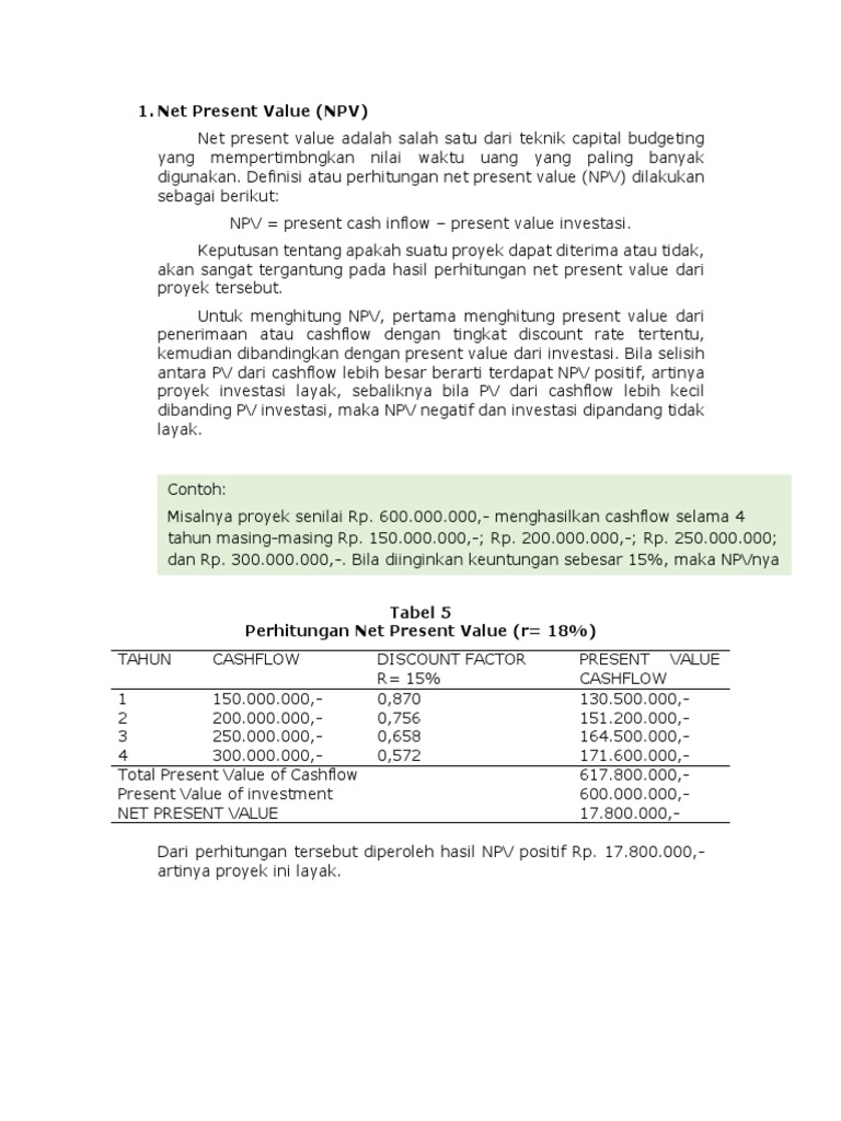 Net Present Value (NPV) | PDF