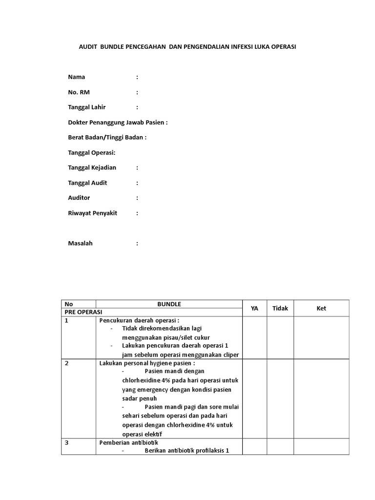 Audit Bundle Hais | PDF