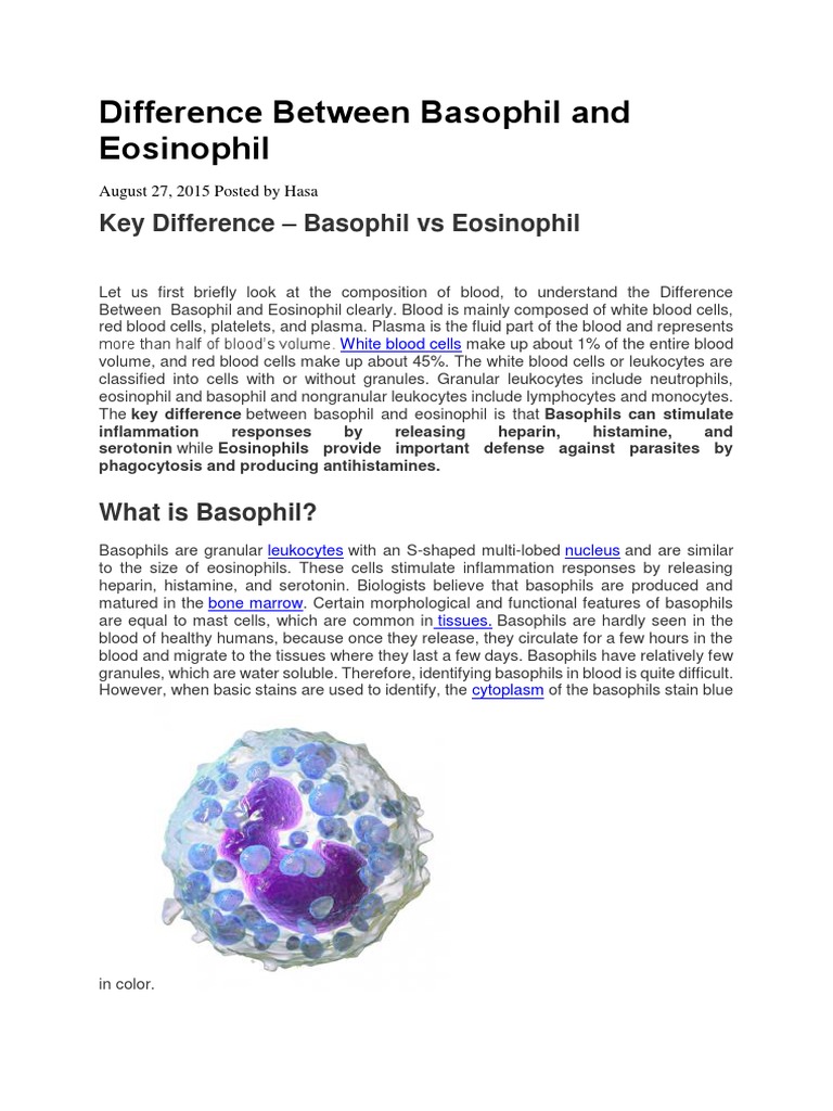Difference Between Mast Cell and Basophil | White Blood Cell | Blood Cell