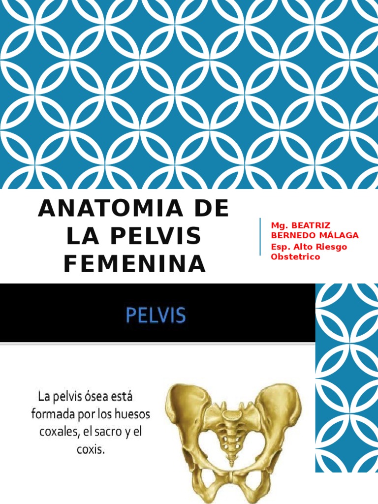 Anatomia de La Pelvis Femenina | PDF