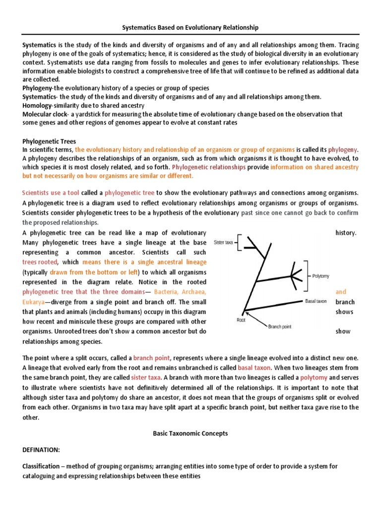 Systematics Based on Evolutionary Relationship 1 | Taxonomy (Biology ...