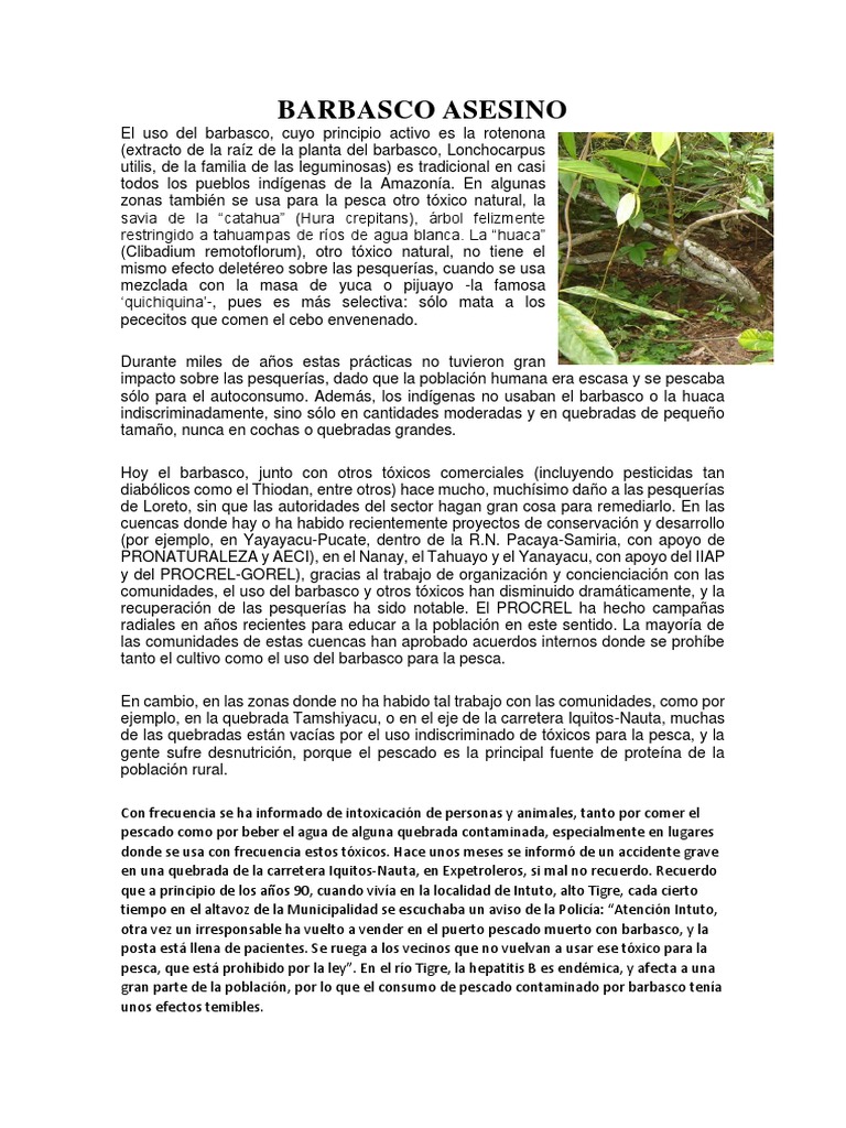 Barbasco Asesino | PDF | Agricultura | Naturaleza