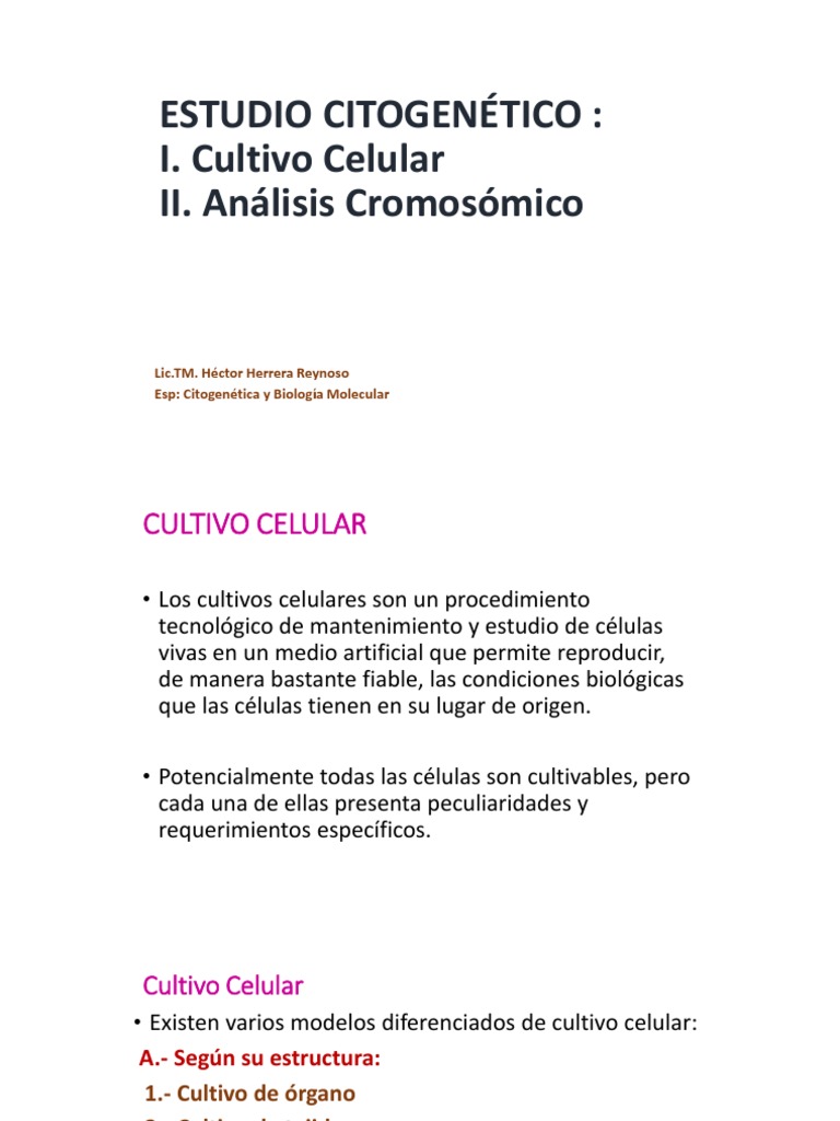 Cultivo Celular y Estudio Citogenético | PDF | Cultivo de células ...