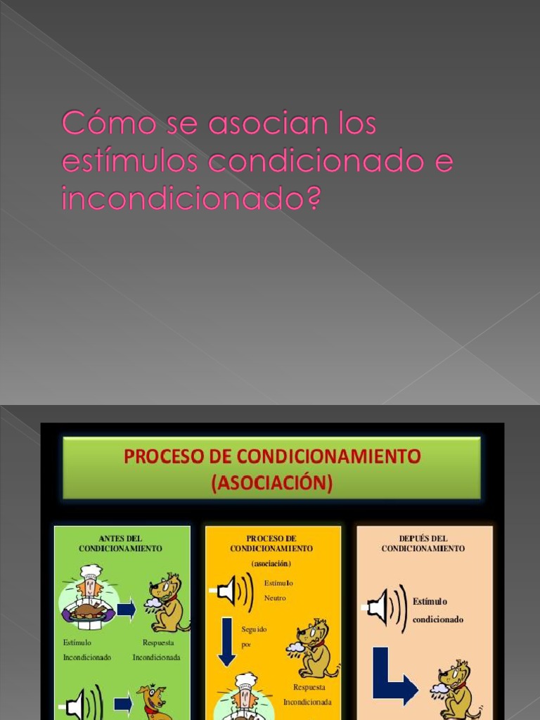 Cómo Se Asocian Los Estímulos Condicionado e Incondicionado | PDF