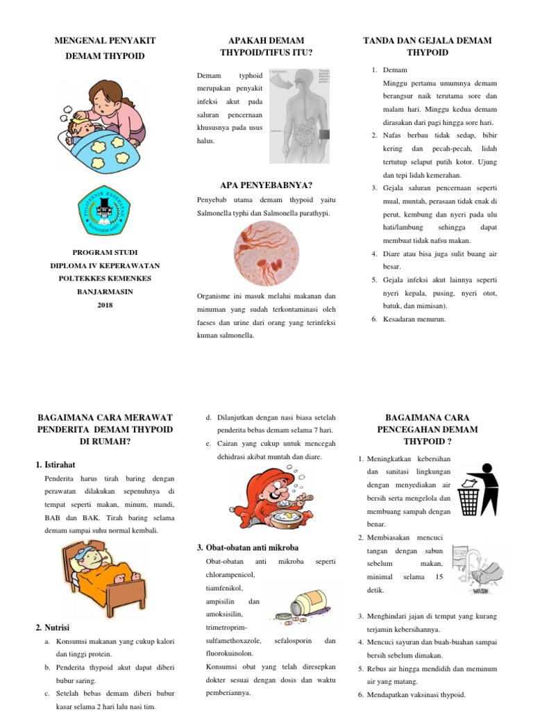 Leaflet Thypoid | PDF