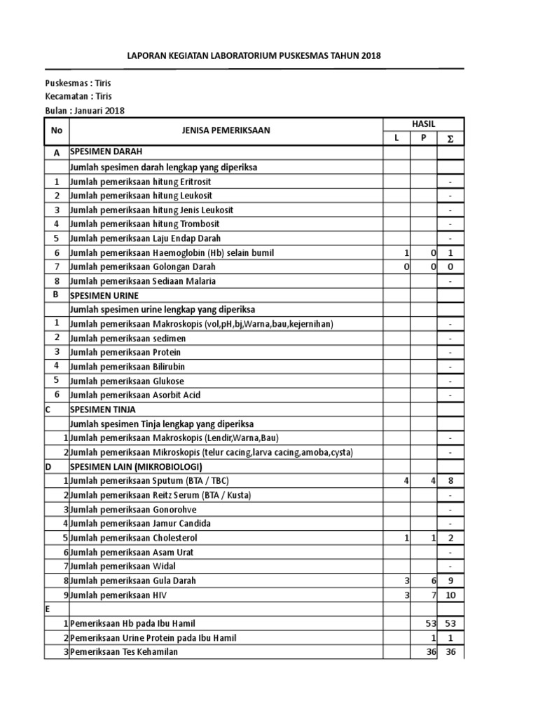 Contoh Laporan Laboratorium Bulanan Puskesmas | PDF