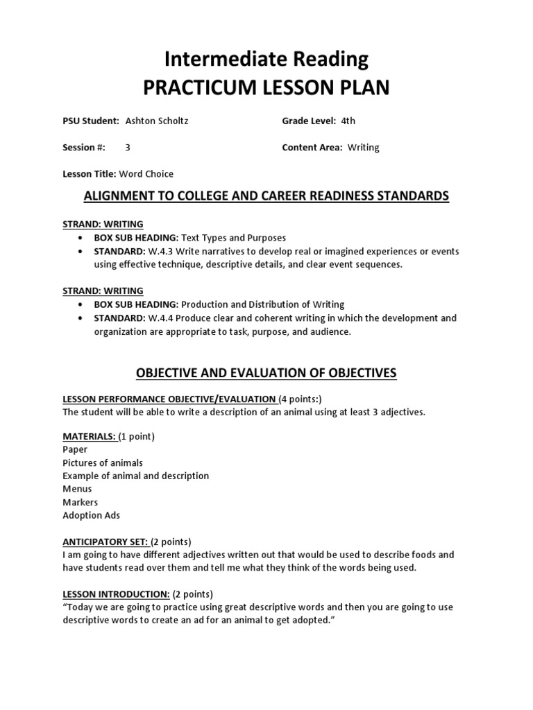 Practicum Lesson Plan 2 | PDF | Differentiated Instruction | Lesson Plan