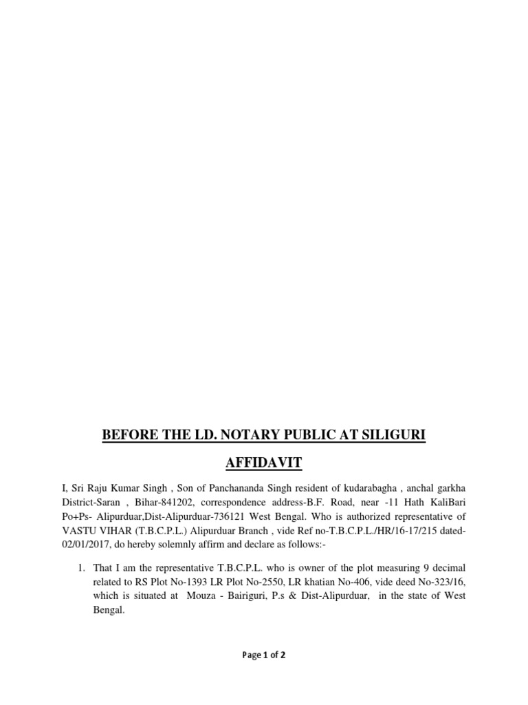 Electric Affidavit | PDF | Private Law | Civil Law (Common Law)