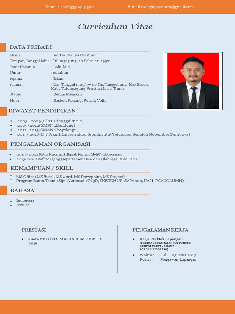 CV Adit | PDF