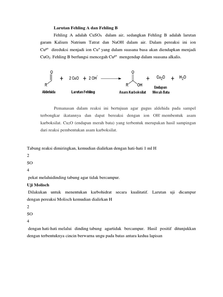 Larutan Fehling A Dan Fehling B | PDF