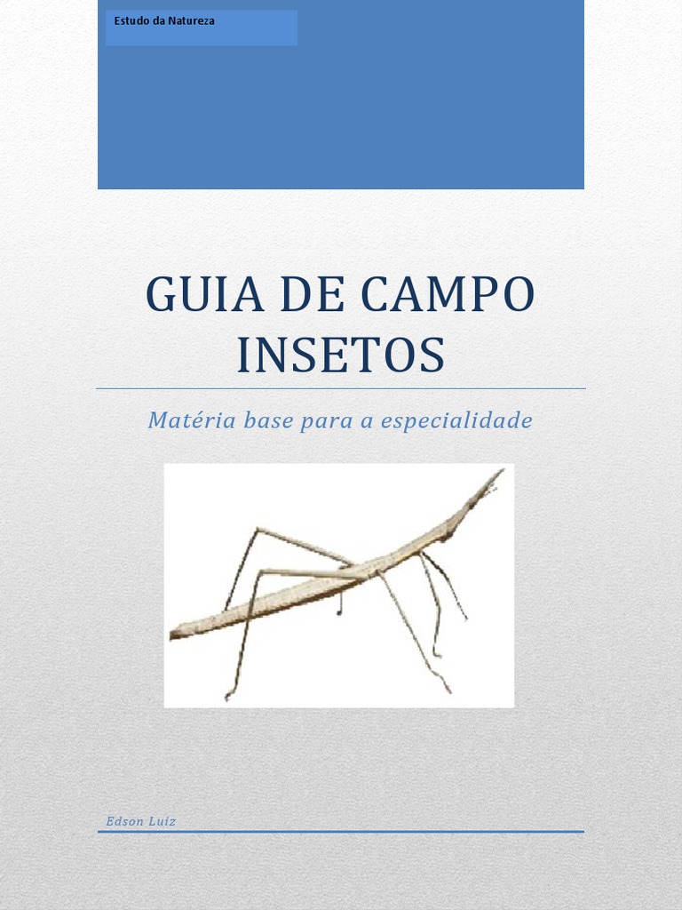 Guia de Campo de Insetos | PDF | Abelhas | Besouro