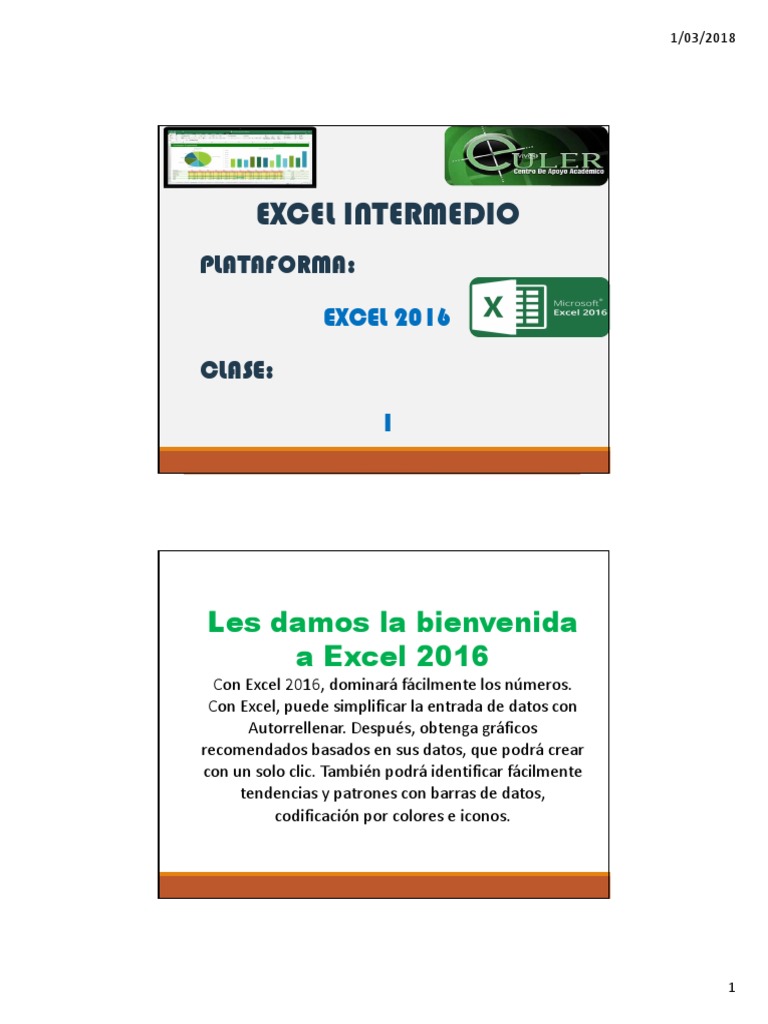 Excel Intermedio 1 | PDF | Microsoft Excel | Point and Click