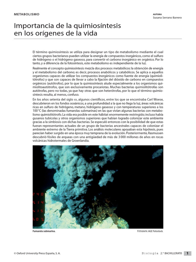 Quimiosíntesis | PDF | Metabolismo | Las bacterias