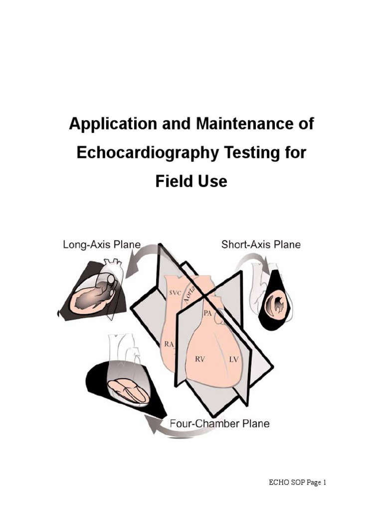 Echocardiography Testing Protocols | PDF | Heart Valve | Ventricle (Heart)