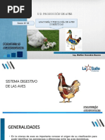 Anatomia y Fisiologia Del Pollo | PDF | Pollo | Anatomia animal