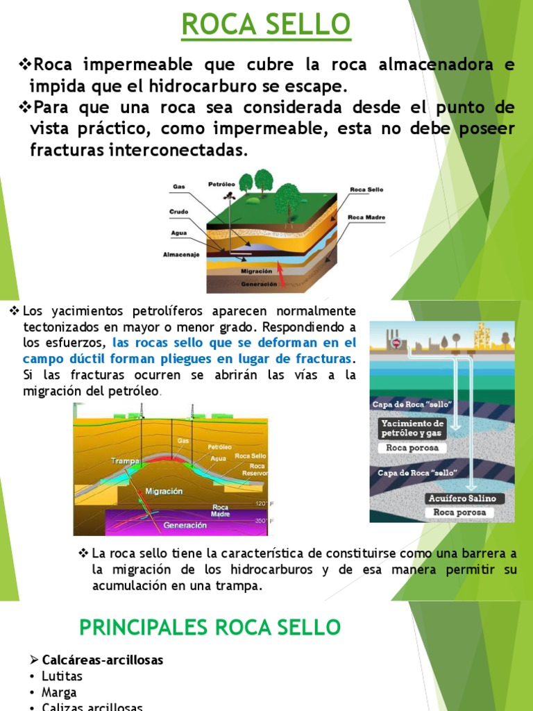 Roca Sello | PDF | Depósito de petróleo | Science