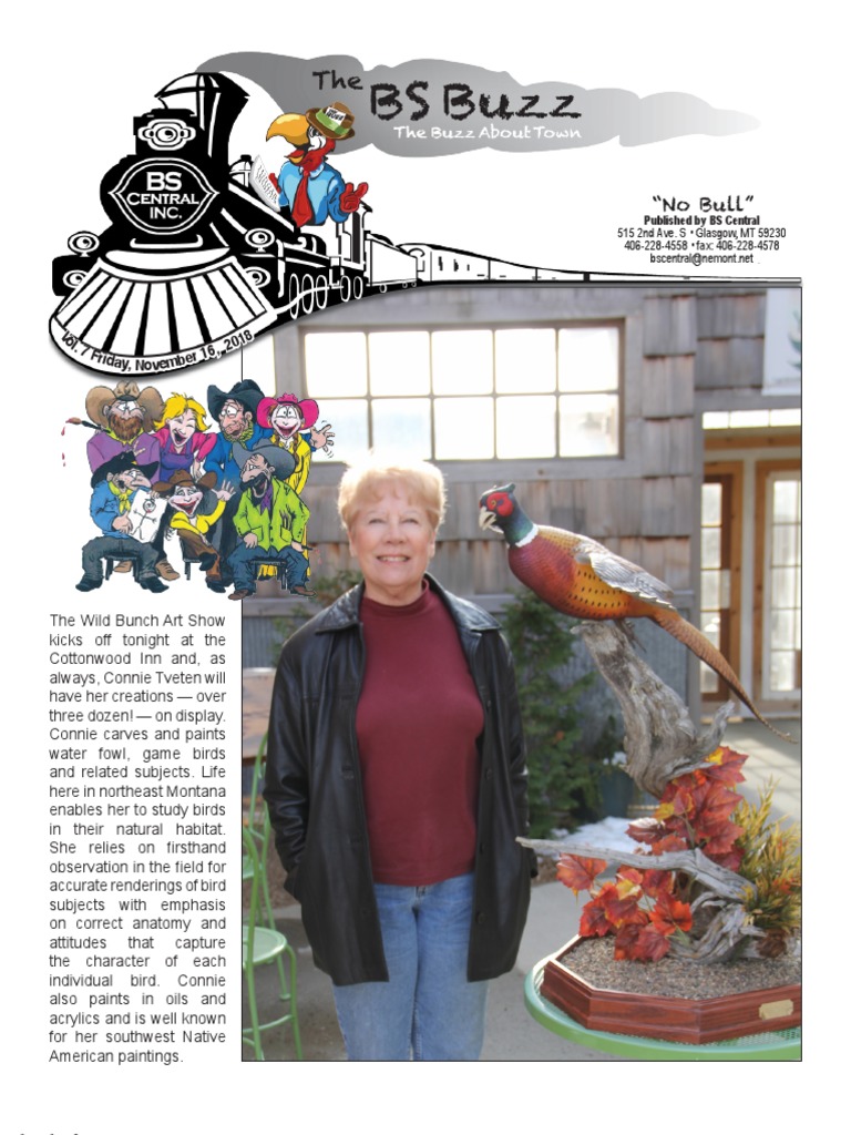 BS Buzz | PDF | Snow | Bathroom