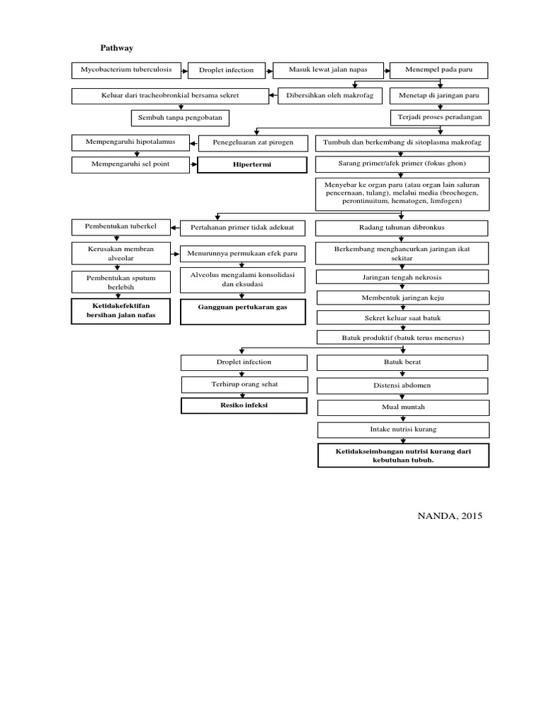 Pathway Infeksi TB Paru | PDF