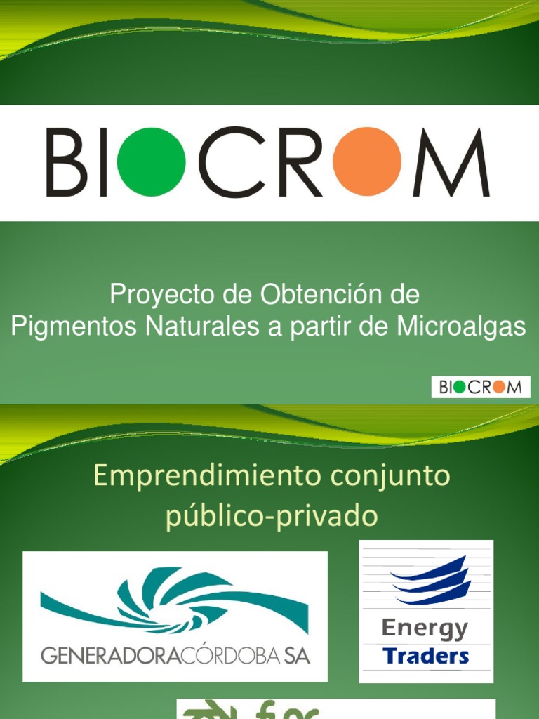 XXX10 Presentacion Biocrom DR Baron1 PDF | PDF | Presupuesto | Energía ...