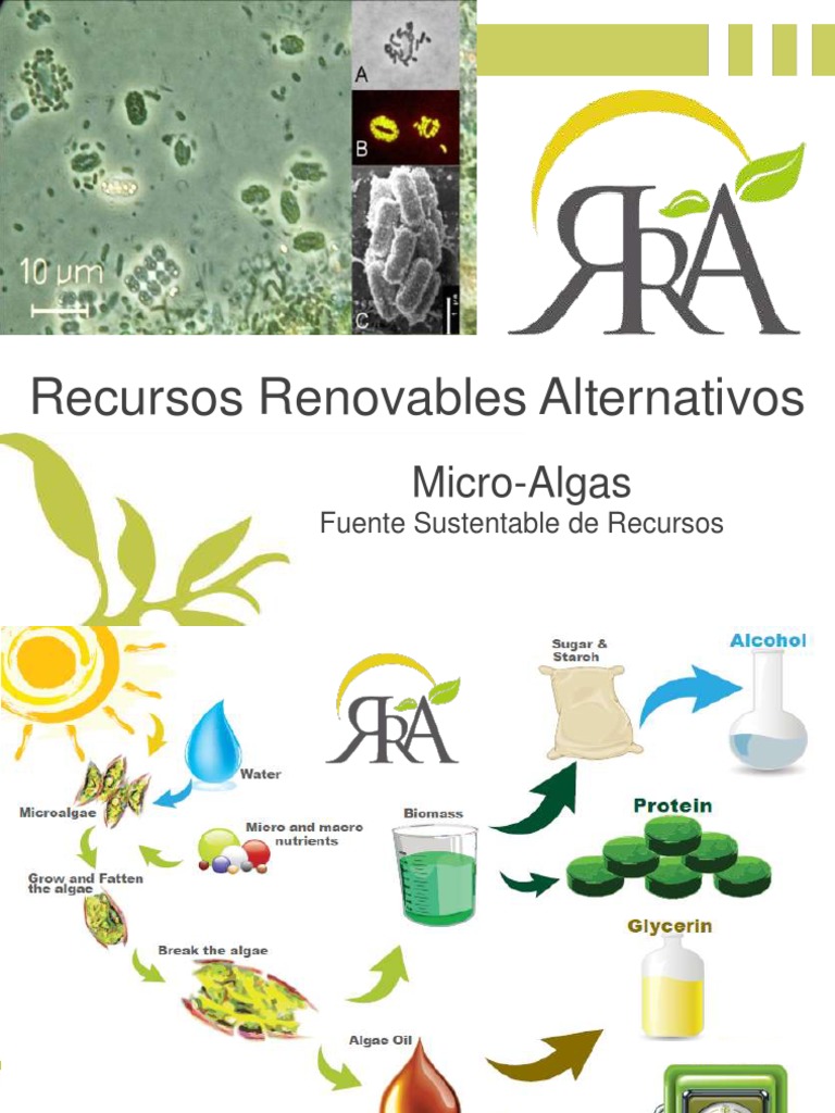 XXX10 Presentacion Biocrom DR Baron1 | PDF | Efecto invernadero | Agua