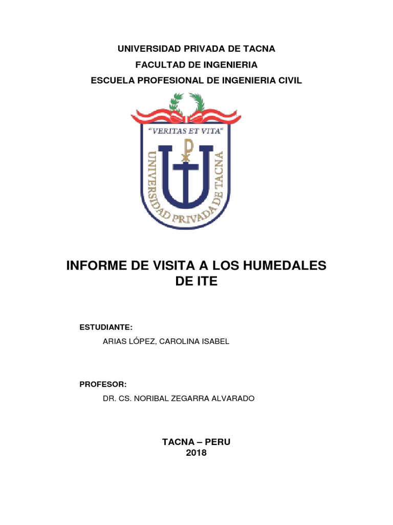 Informe Visita Humedales de Ite | PDF | Aguas residuales | Residuos