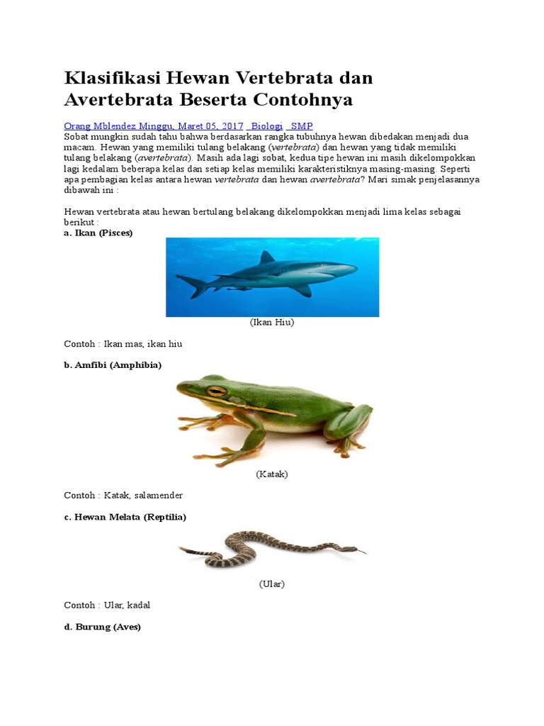 Klasifikasi Hewan Vertebrata Dan Avertebrata Beserta Contohnya | PDF