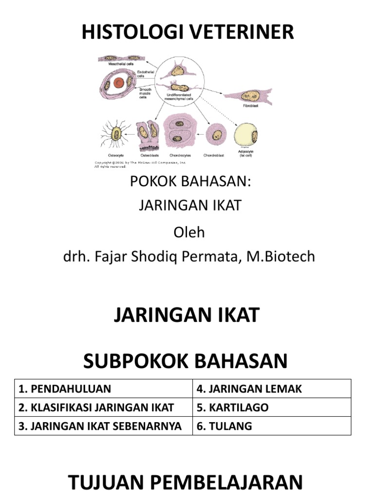 Jaringan Ikat Kuliah HistoVet | PDF
