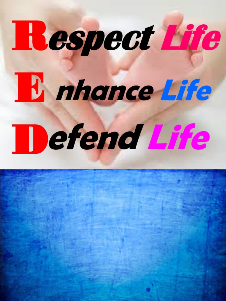 First Holy Communion | PDF