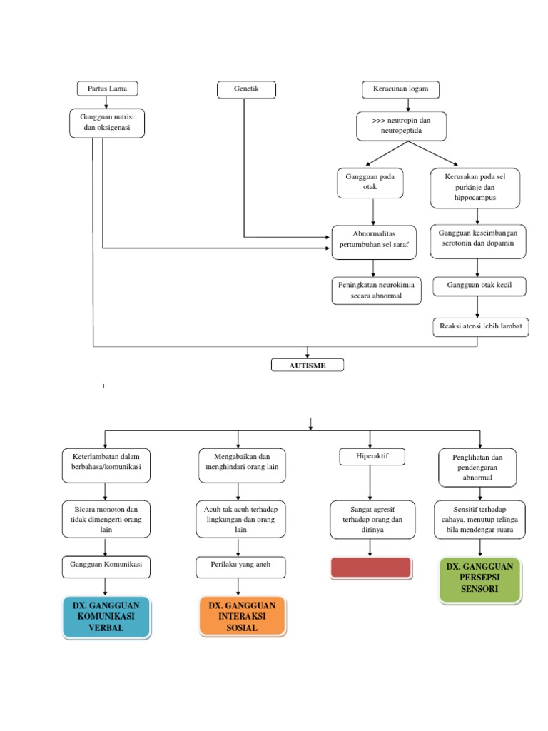 Pathway Autisme | PDF