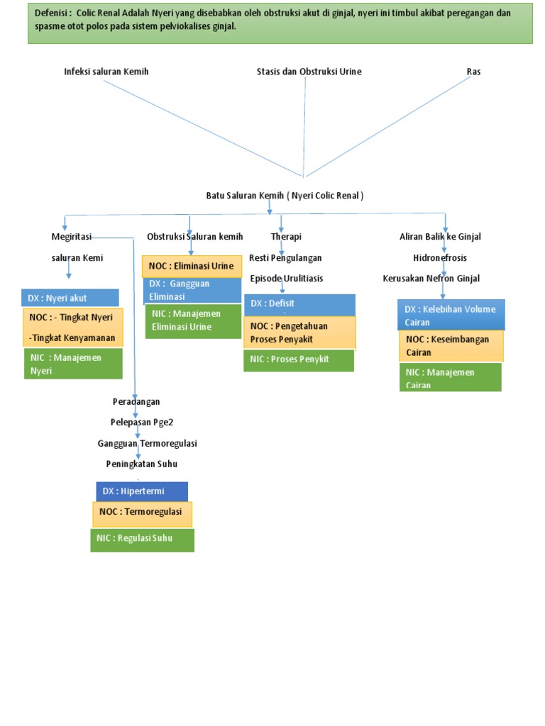 Julano KMB Mapping Colic Renal | PDF