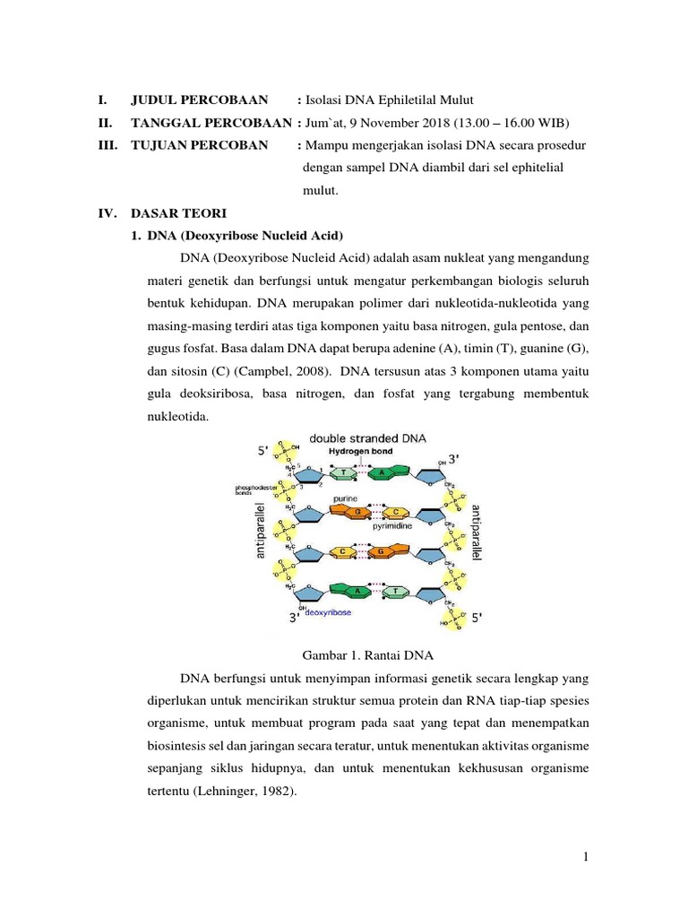 Isolasi DNA dari Sel Epitel Mulut | PDF | Kesehatan Holistik