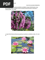 Halamang Dahon | PDF