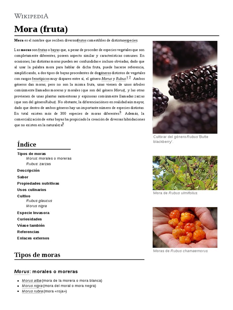 Mora (Fruta) | PDF | Mora | Fruta