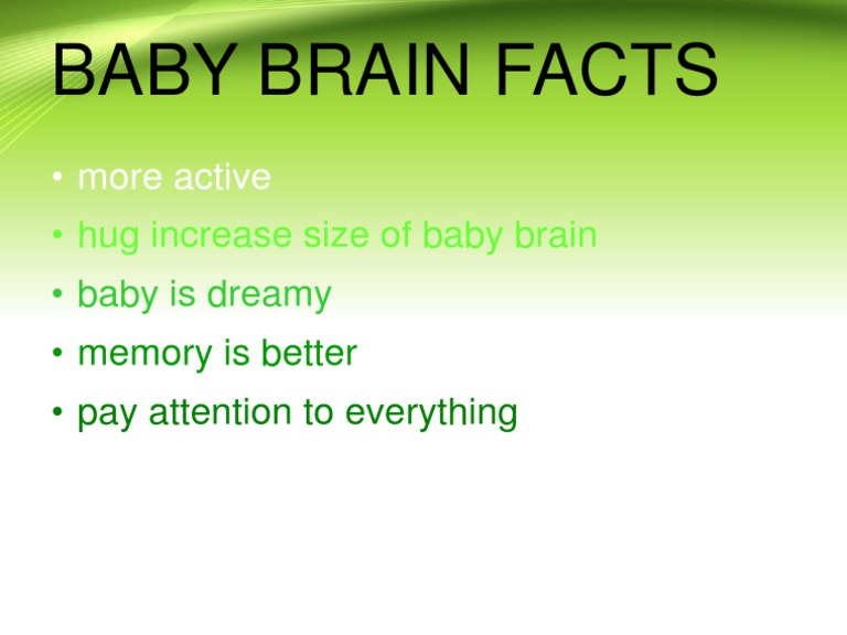 Baby Brain Facts - It | PDF