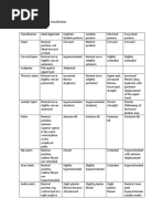 Anaphy Lab Activity 5 Skeletal System | PDF | Skeleton | Bone
