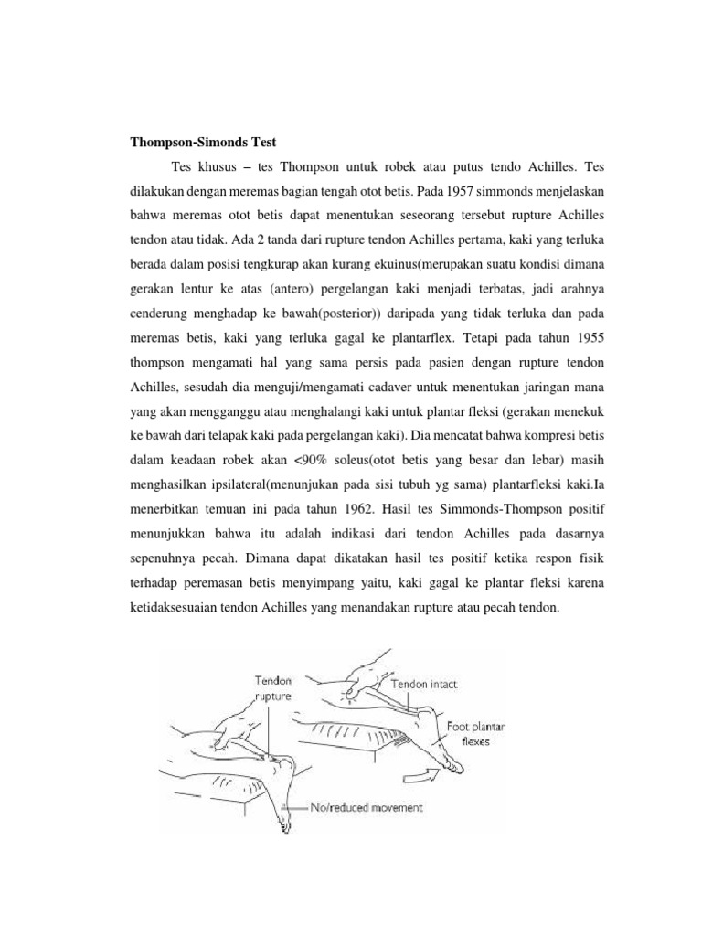 Thompson Tes | PDF