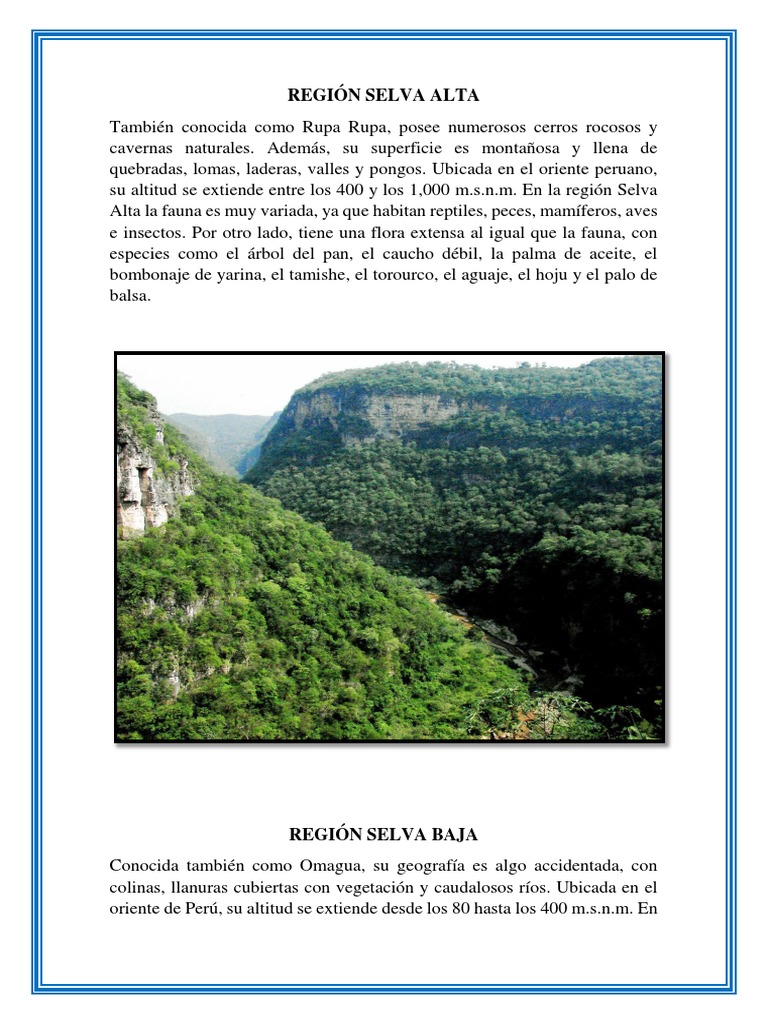 Región Selva Alta | PDF