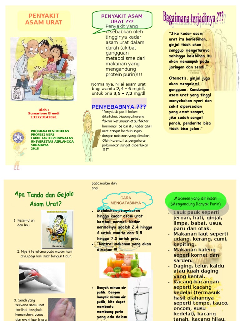 Leaflet Asam Urat | PDF