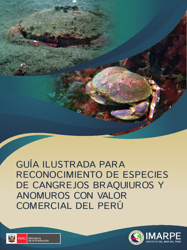 Guía de Cangrejos Comerciales del Perú | PDF | Cangrejo | Artrópodos
