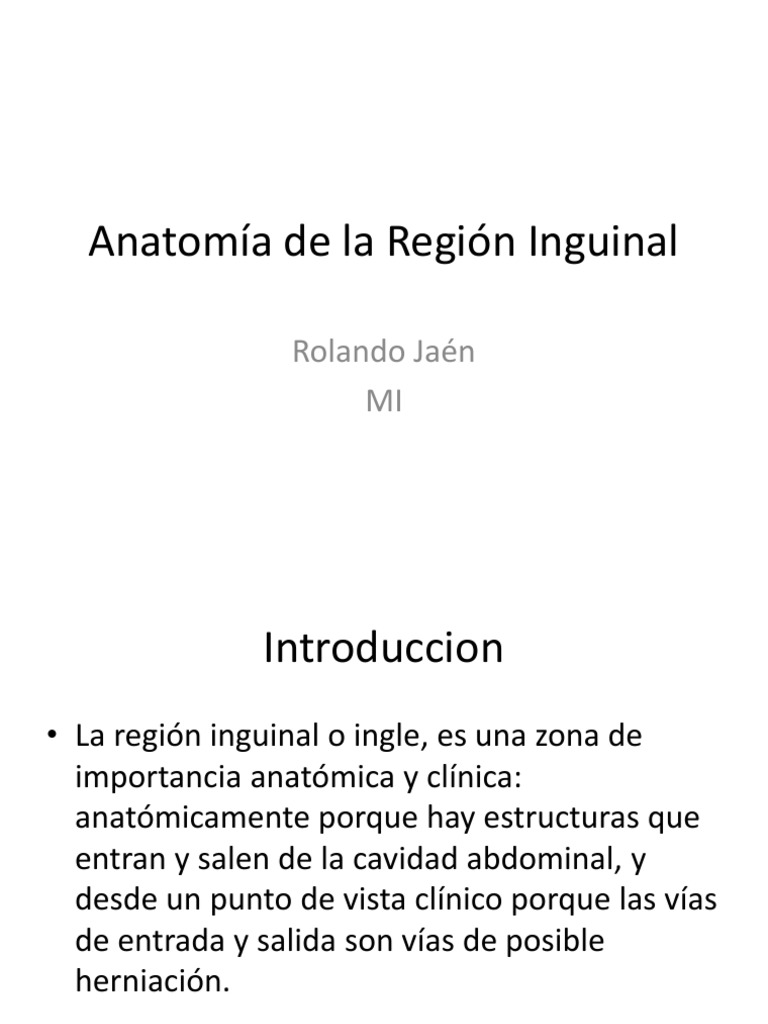 Anatomía de la Región Inguinal | PDF